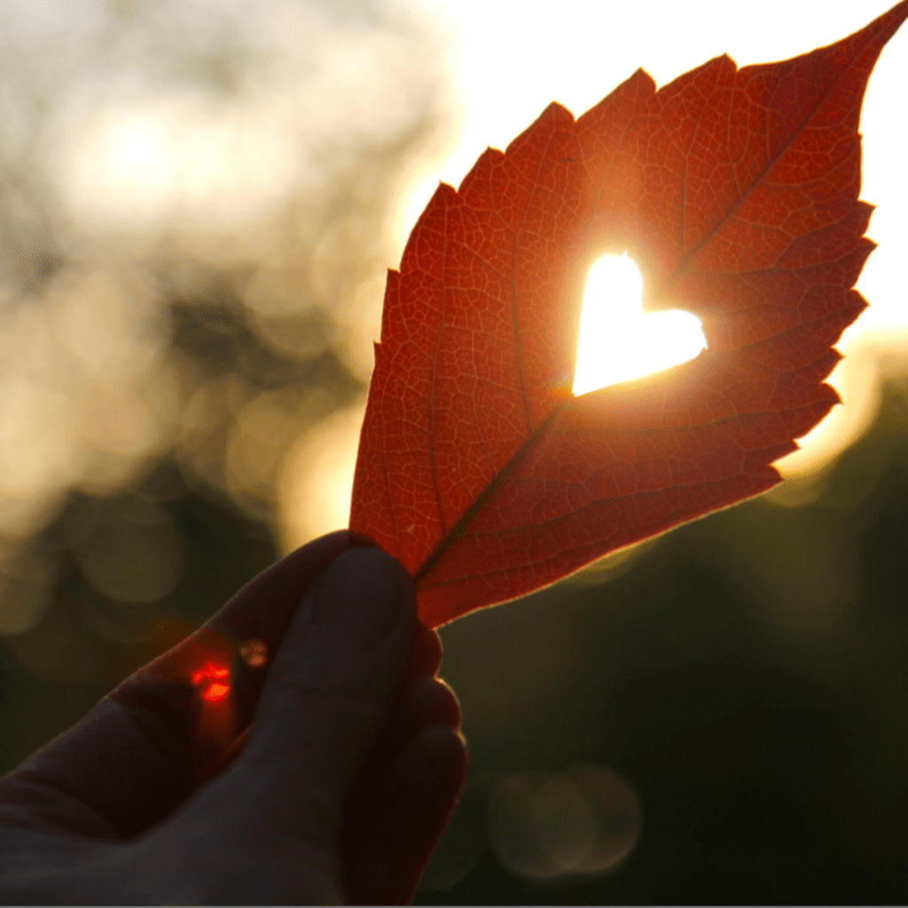 ATALIAN committed to the World Environment Day - Atalian